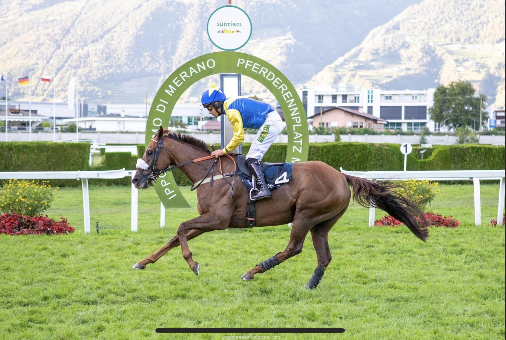 Ryzák First Of All vyhrál dramatické Gran Premio Merano! | CHARVÁT ...